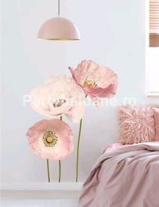 PartyBaloane – Baloane pentru evenimentele tale!